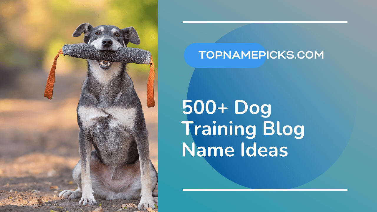500+ Dog Training Blog Name Ideas